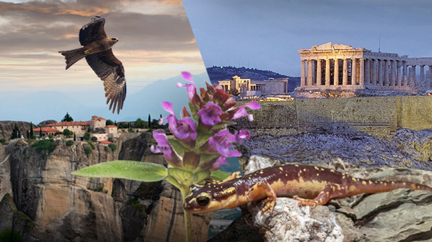 RTS :: Priroda :: Kako je zaštita Akropolja i Meteora sačuvala grčke ...